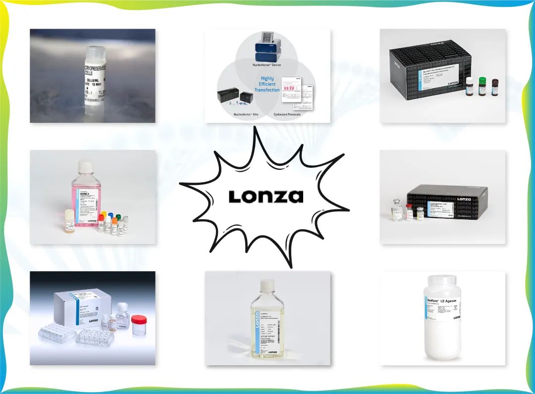 Lonza for best U,携手更进 未来可期