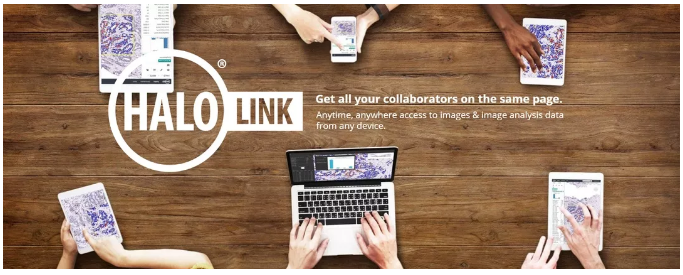 优宁维发布|HALO Link-数字病理远程协作管理平台